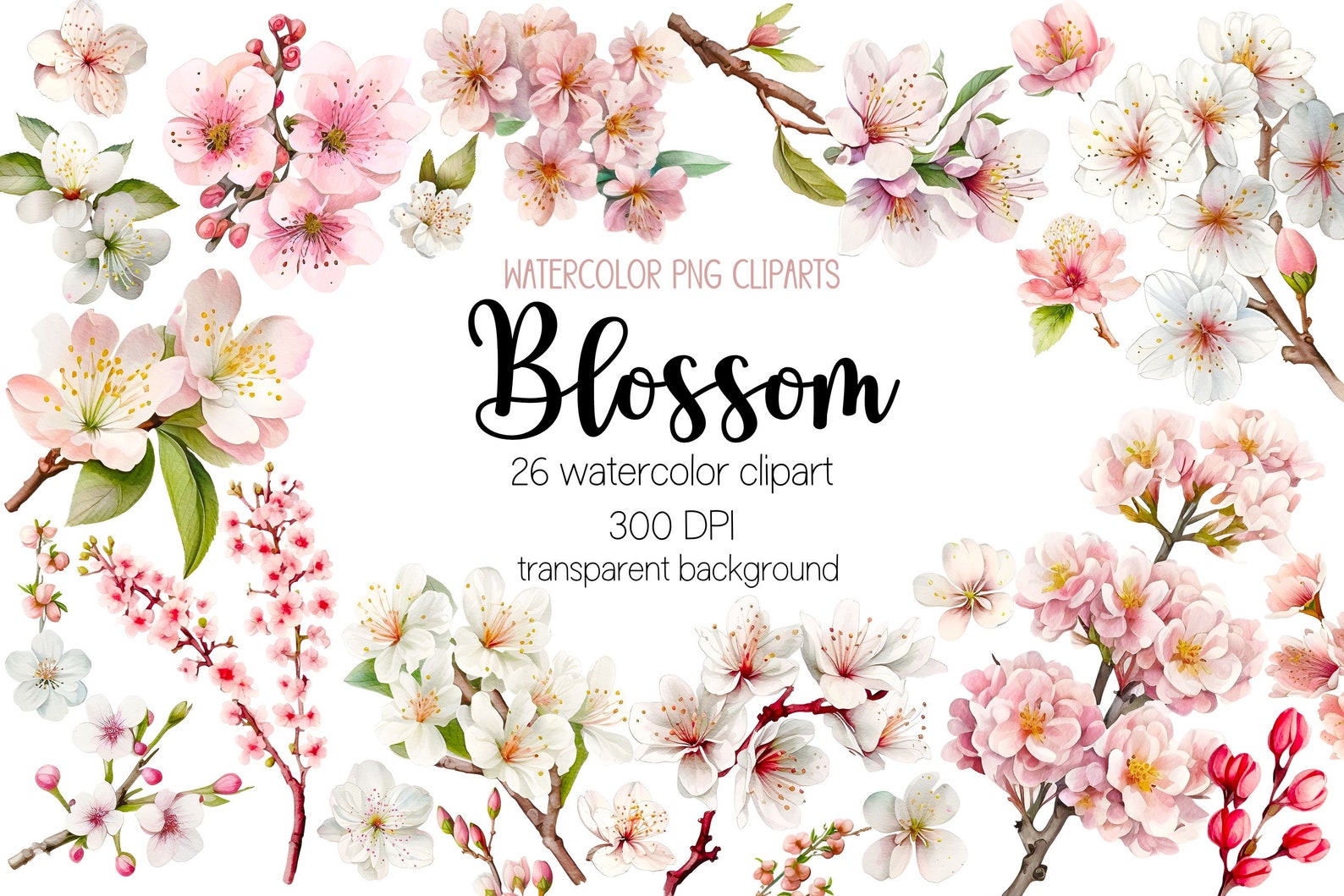 Watercolor Blossom Flower Clipart Bundle: Spring Floral Designs (PNG ...