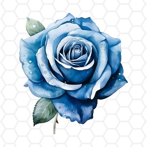 Blue Rose Sublimation Designs, Rose Clipart, Rose Png, Rose Sublimation ...