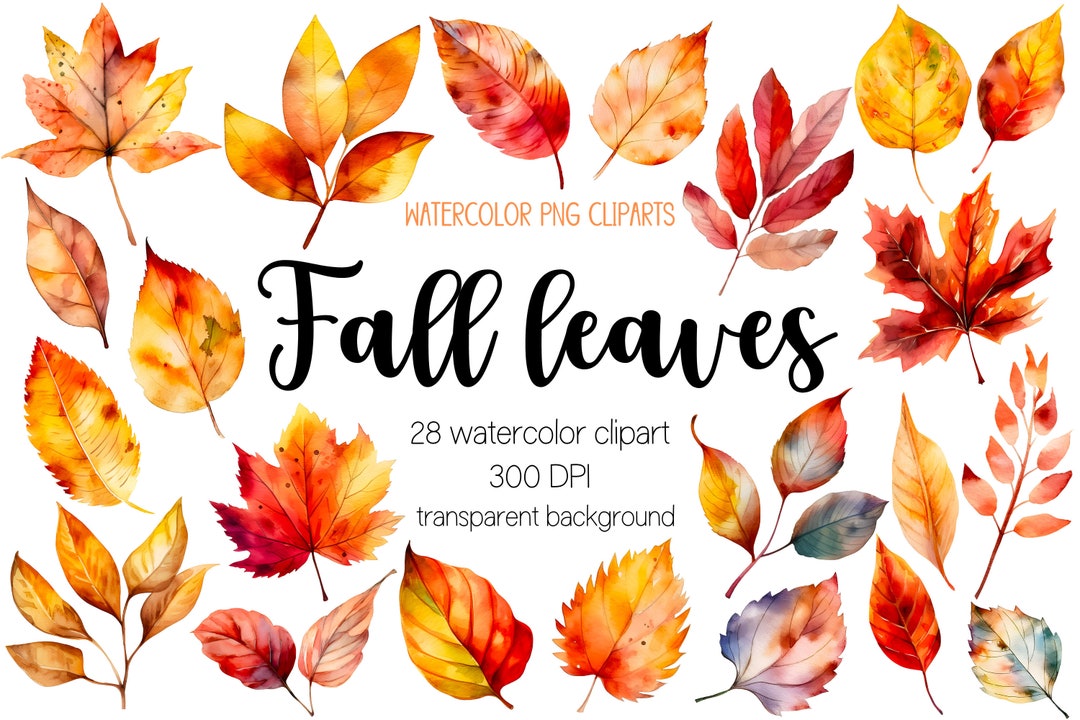 Watercolor Fall Leaves Clipart Bundle, Fall Leaves Clipart, Fall ...