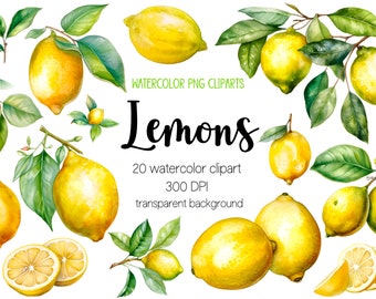 Lemon Numbers Clipart: Watercolor Fruit PNG Set (digital Download) - Etsy