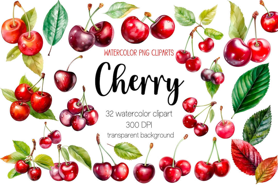 Watercolor Cherry Cliparts, Cherry Clipart, Cherry Png, Fruit Clipart ...