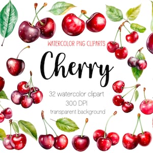 Watercolor Cherry Cliparts, Cherry Clipart, Cherry Png, Fruit Clipart ...