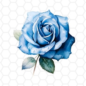Blue Rose Sublimation Designs, Rose Clipart, Rose Png, Rose Sublimation ...