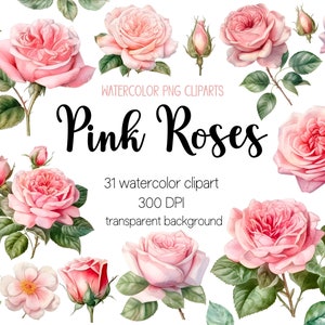 Pink Roses Watercolor Cliparts, Rose Png, Rose Clipart, Watercolor ...
