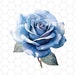Blue Rose Sublimation Designs, Rose Clipart, Rose Png, Rose Sublimation ...