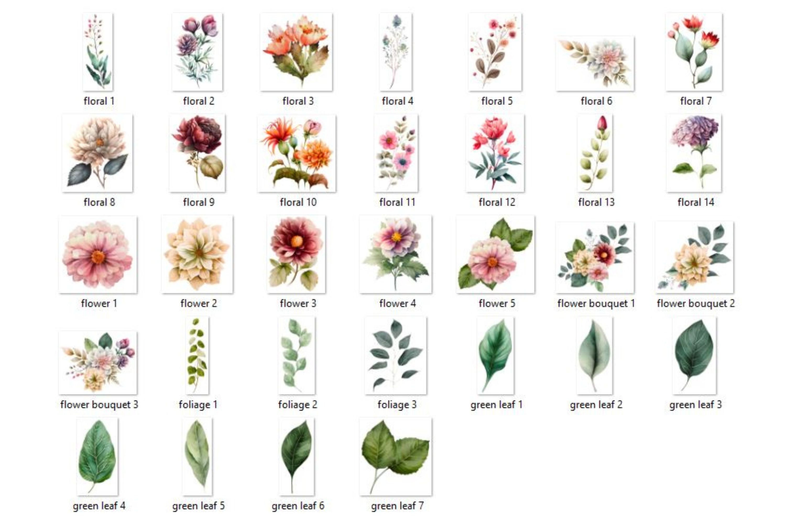 Pretty Watercolor Flower Clipart Bundle Watercolor Clipart - Etsy