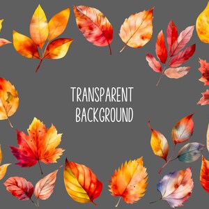 Watercolor Fall Leaves Clipart Bundle, Fall Leaves Clipart, Fall ...