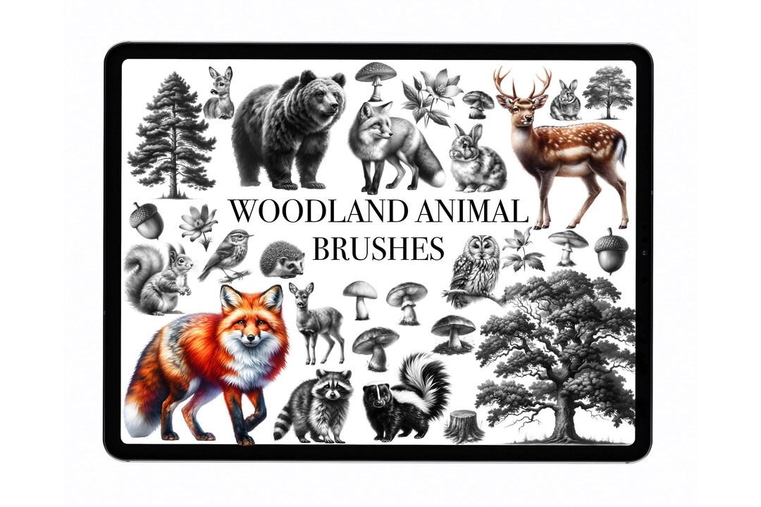 Woodland Animal Procreate Stamp Brushes, Procreate Brushes, Procreate ...