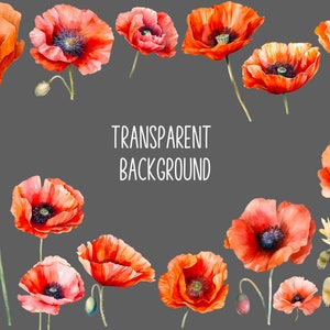 Watercolor Poppy Clipart: 16 Flower PNG Bundle (digital Download) - Etsy