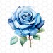 Blue Rose Sublimation Designs, Rose Clipart, Rose Png, Rose Sublimation ...