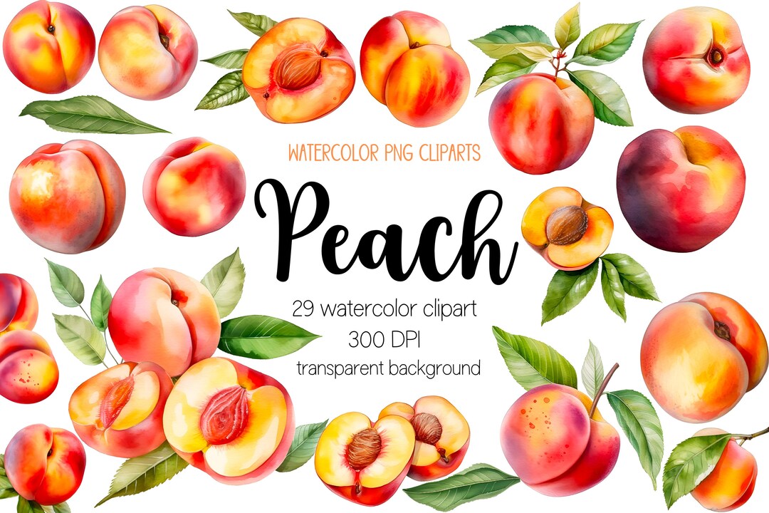 Watercolor Peach Cliparts, Peach Clipart, Peach Png, Fruit Clipart ...