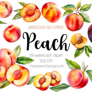 Watercolor Peach Cliparts, Peach Clipart, Peach Png, Fruit Clipart ...