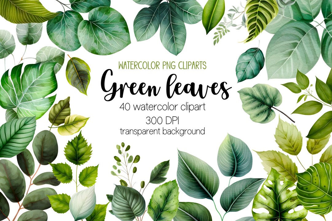 Watercolor Green Leaves Clipart Bundle: 40 PNG Designs (digital ...