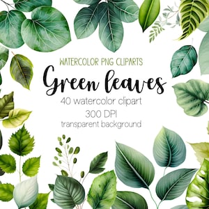 Watercolor Green Leaves Clipart Bundle: 40 PNG Designs (digital ...