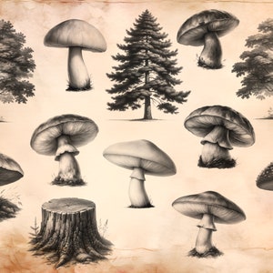 Woodland Animal Procreate Stamp Brushes, Procreate Brushes, Procreate ...