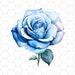 Blue Rose Sublimation Designs, Rose Clipart, Rose Png, Rose Sublimation ...