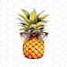 Watercolor Pineapple Clipart Bundle, Pineapple Clipart, Pineapple Png ...