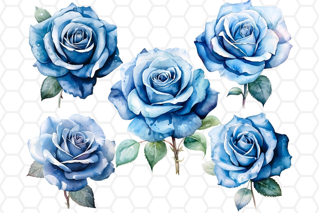 Blue Rose Sublimation Designs, Rose Clipart, Rose Png, Rose Sublimation ...