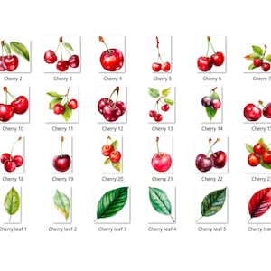 Watercolor Cherry Clipart Set: 32 PNG Fruit Designs (digital Download ...