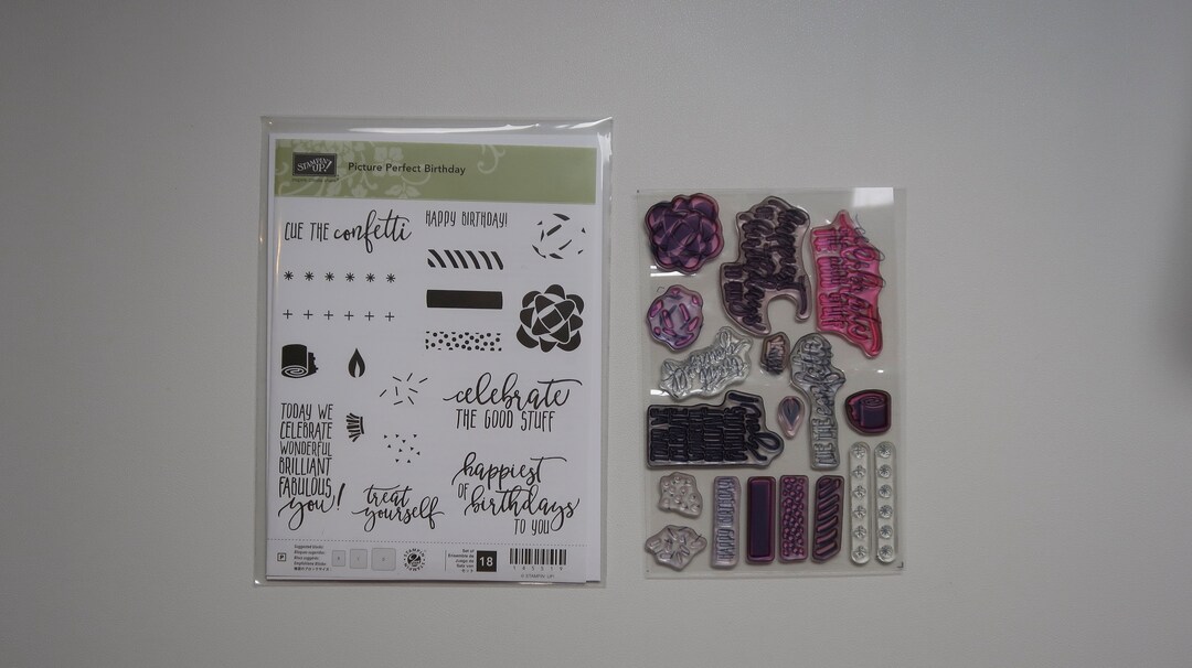 Stampin' up Picture Perfect Birthday Stamp Set - Etsy
