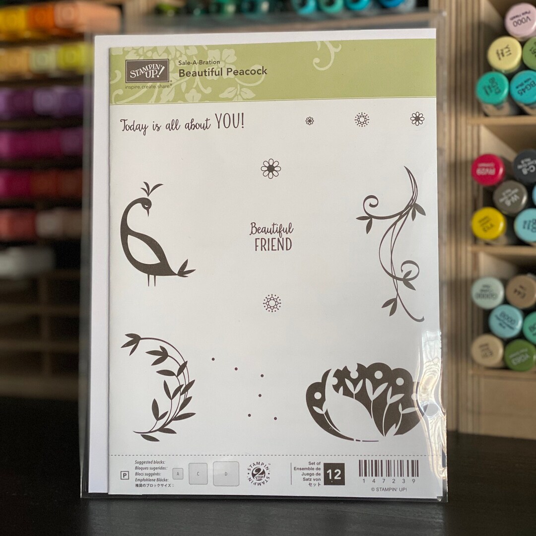 Stampin Up Beautiful Peacock Stamp Set Etsy