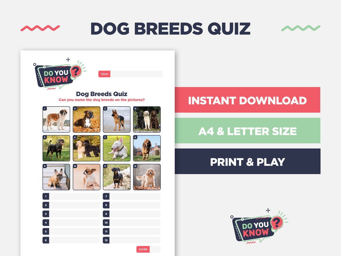 Dog Breeds Quiz Pub Quiz Picture Round Guess the Dog Breed Trivia Quiz ...