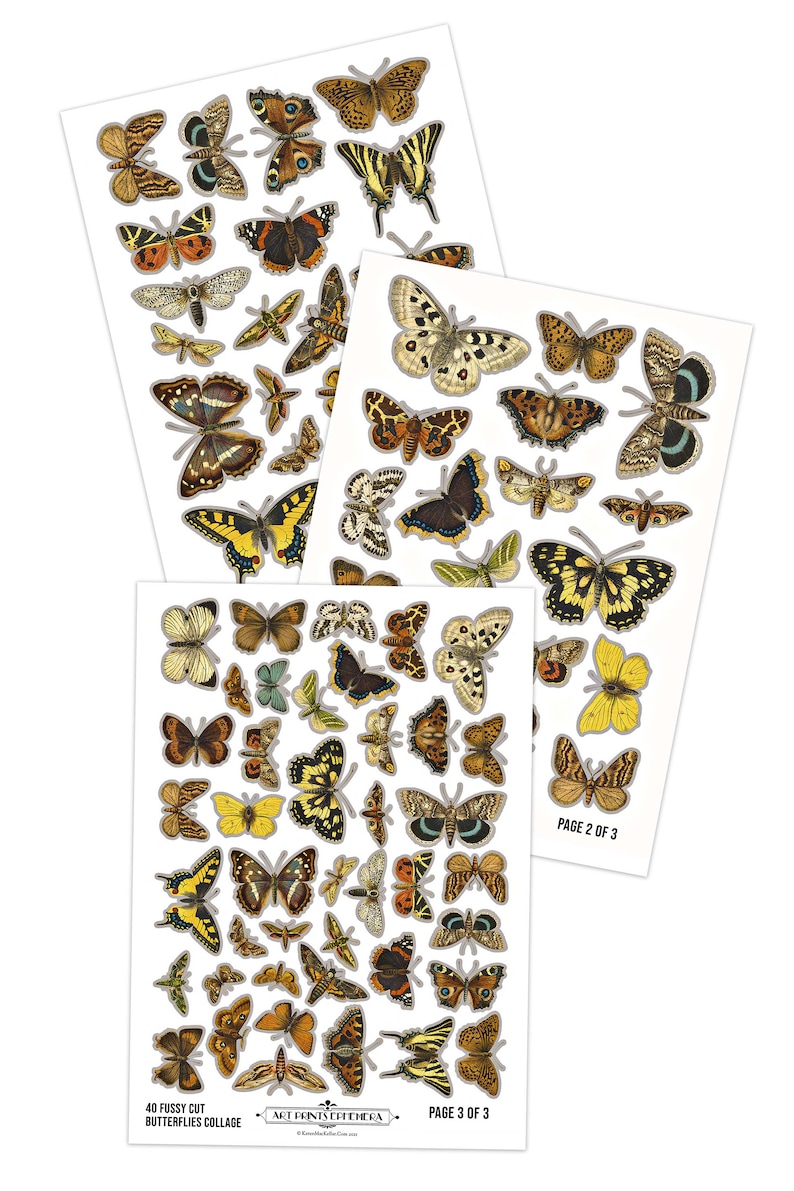 Butterflies and Moths Collage Sheets • Antique Printable Images • Junk ...