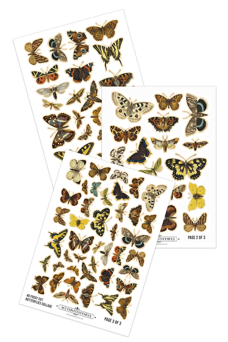 Butterflies and Moths Collage Sheets • Antique Printable Images • Junk ...