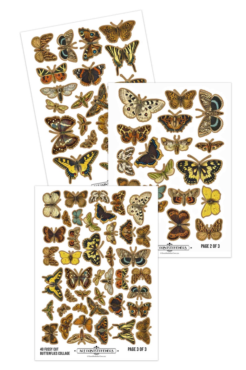 Butterflies and Moths Collage Sheets • Antique Printable Images • Junk ...