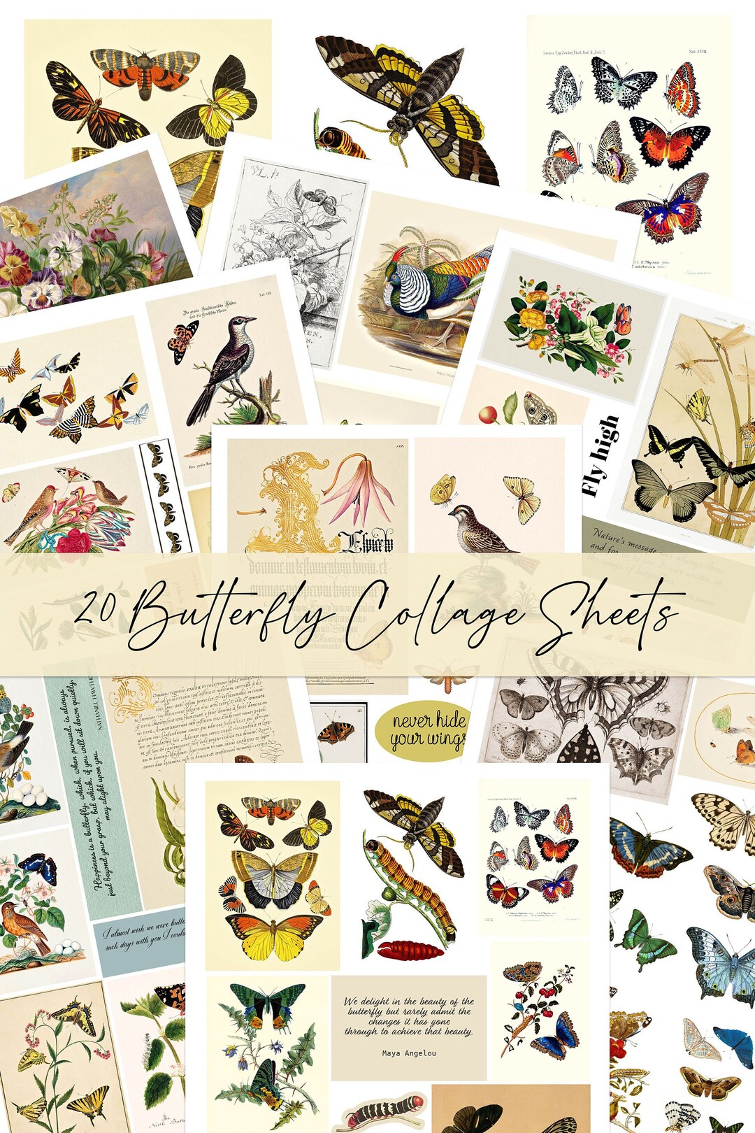 20 Vintage Butterfly Collage Sheets • Antique Printable Images • Junk ...