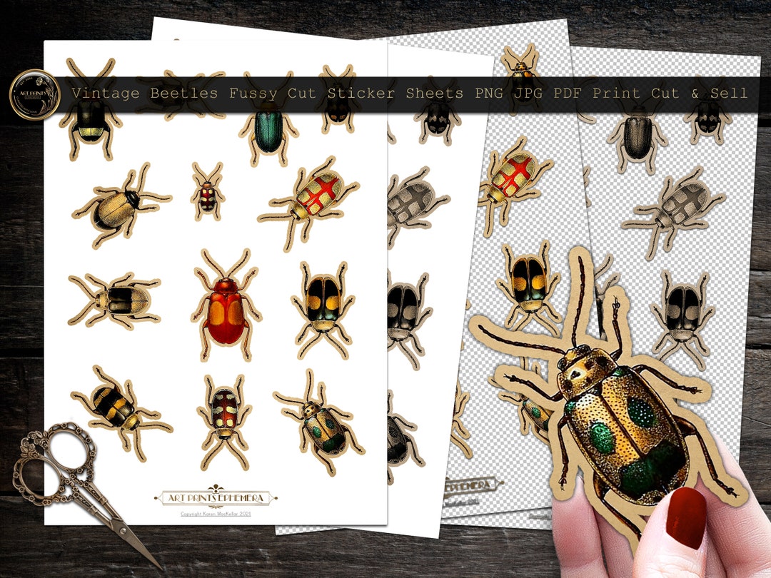 Vintage Beetle Fussy Cut Stickers No2 • Printable Ephemera • Print Cut ...