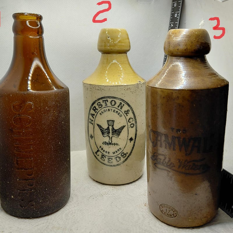 Ginger Beer Schweppes - Etsy Canada