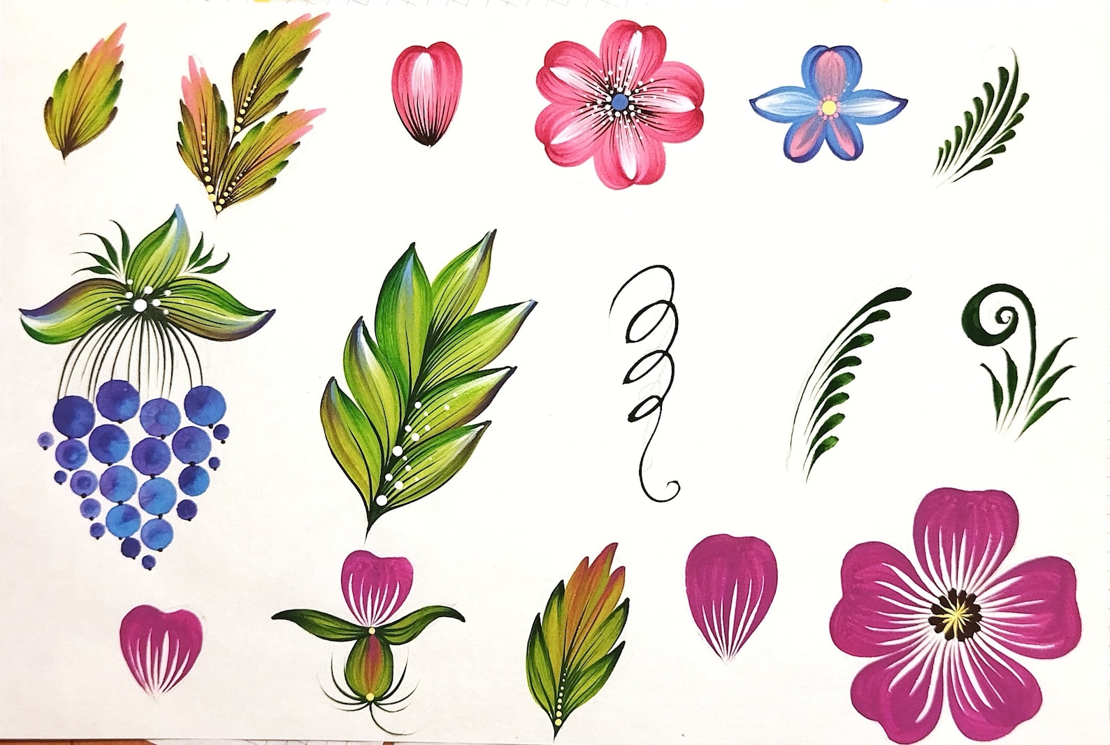 Coloring Page With Petrykivka Painting. Training Exercises for - Etsy