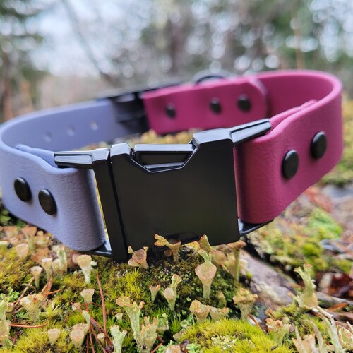 Genuine Adjustable Biothane Waterproof Collar. Quick Release - Etsy