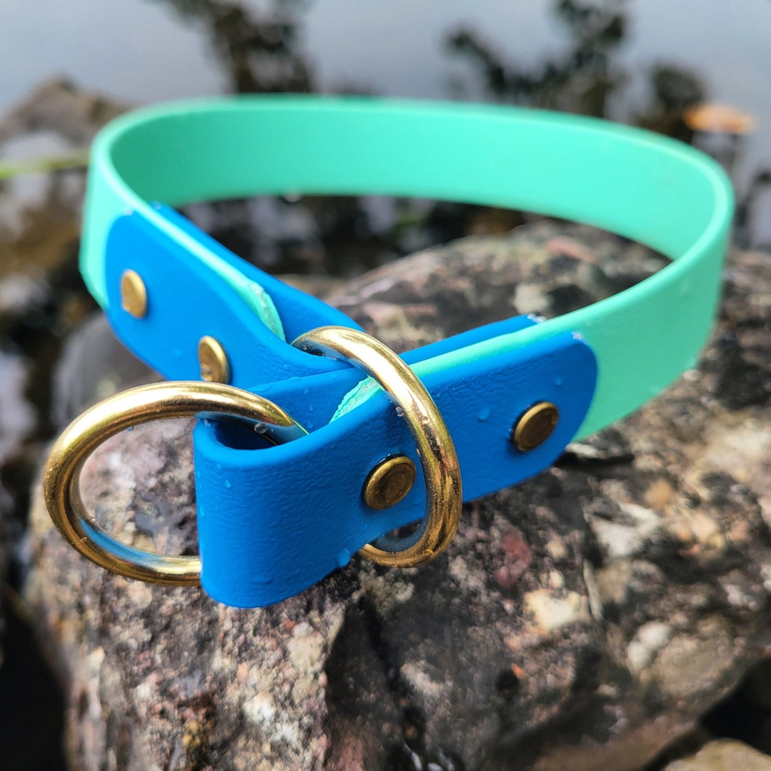 1" Wide 2 Tone Biothane® Slip Collar Solid Brass, Slip Training Collar ...