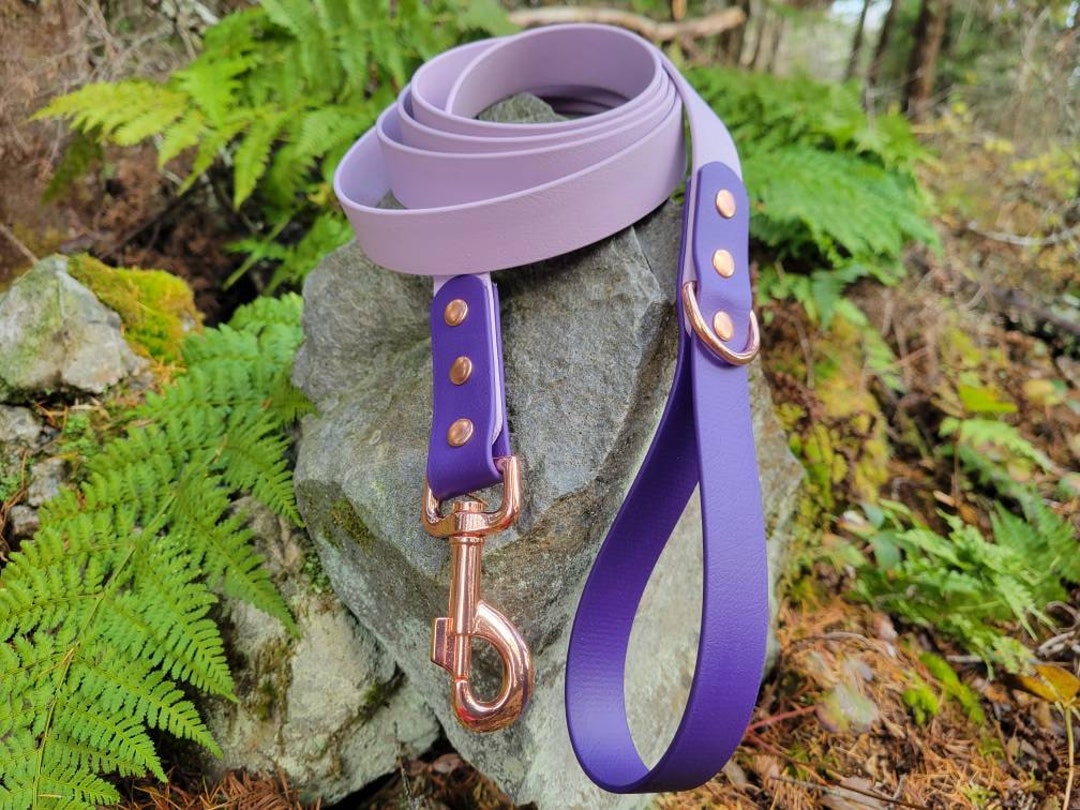 1" Wide Biothane® Leash 2 Tone Color, Waterproof Leash, Vegan Leather ...