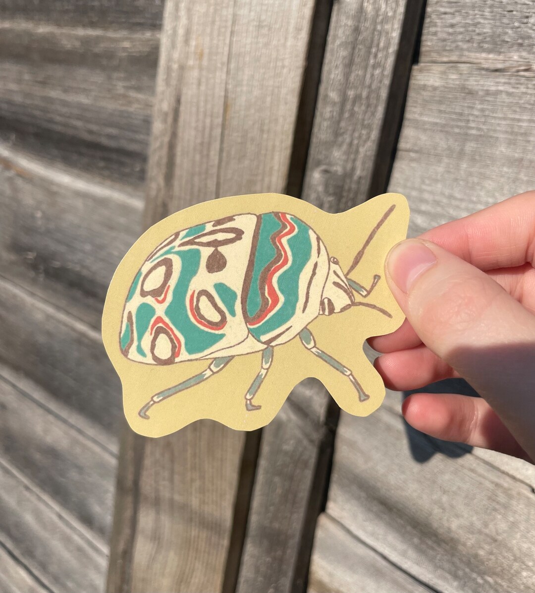 Picasso Bug Illustrated Sticker - Etsy