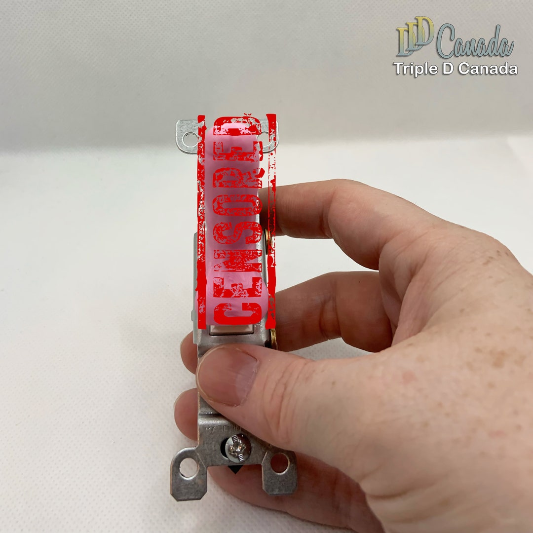 Dicky Light Switch Home Decor - Etsy