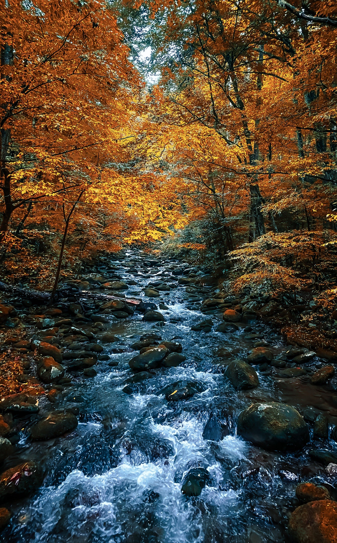 Autumn Lightroom Presets, , Photoshop, Tutorials, Edits, Tools ...