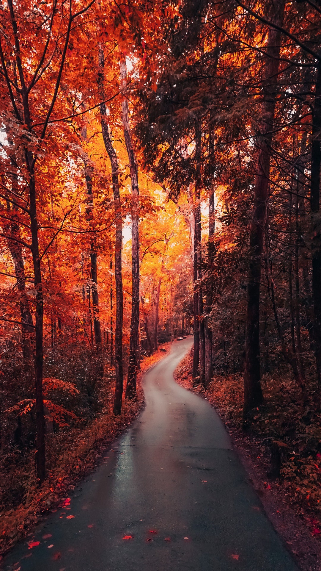 Autumn Lightroom Presets, , Photoshop, Tutorials, Edits, Tools ...