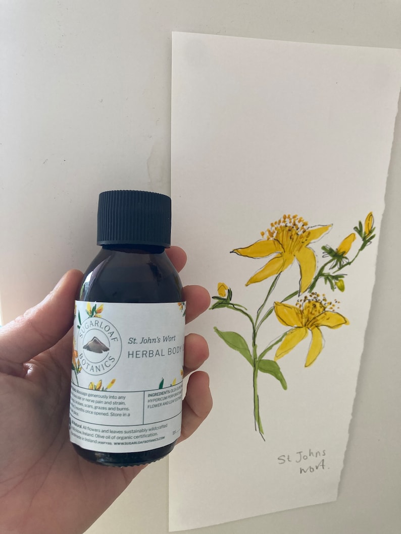 St John’s Wort Herbal Oil - Etsy