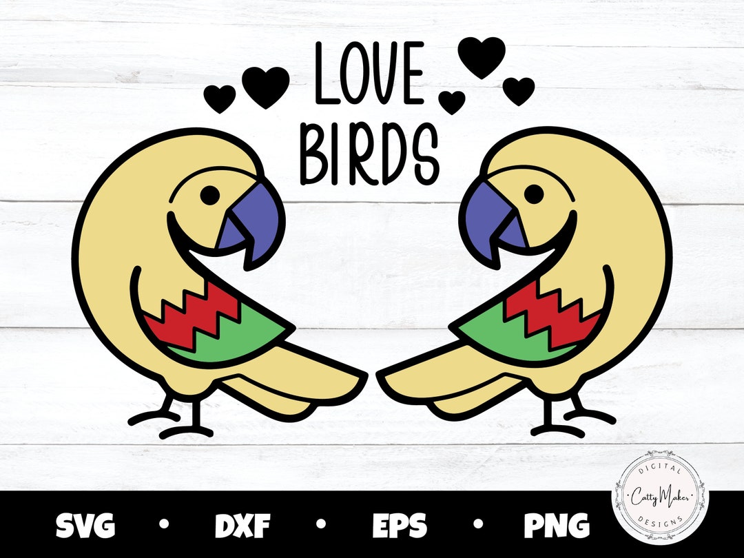 Love Birds SVG, Valentine's Day Parrot Clipart (digital Download) - Etsy