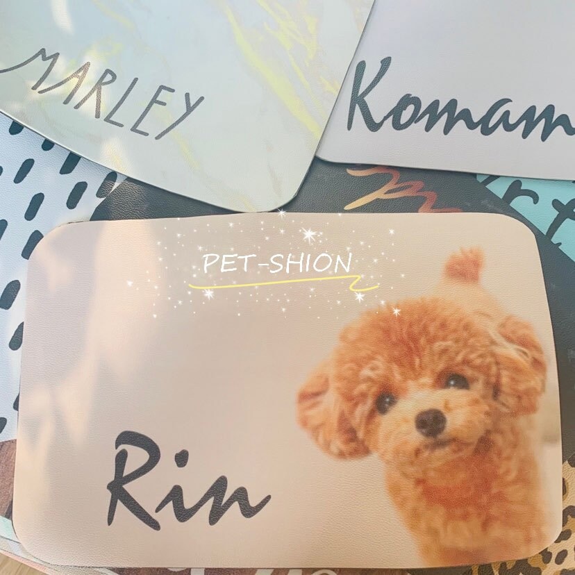 Personalized Dog Mat With Pet Portrait Personalized Dog Food - Etsy