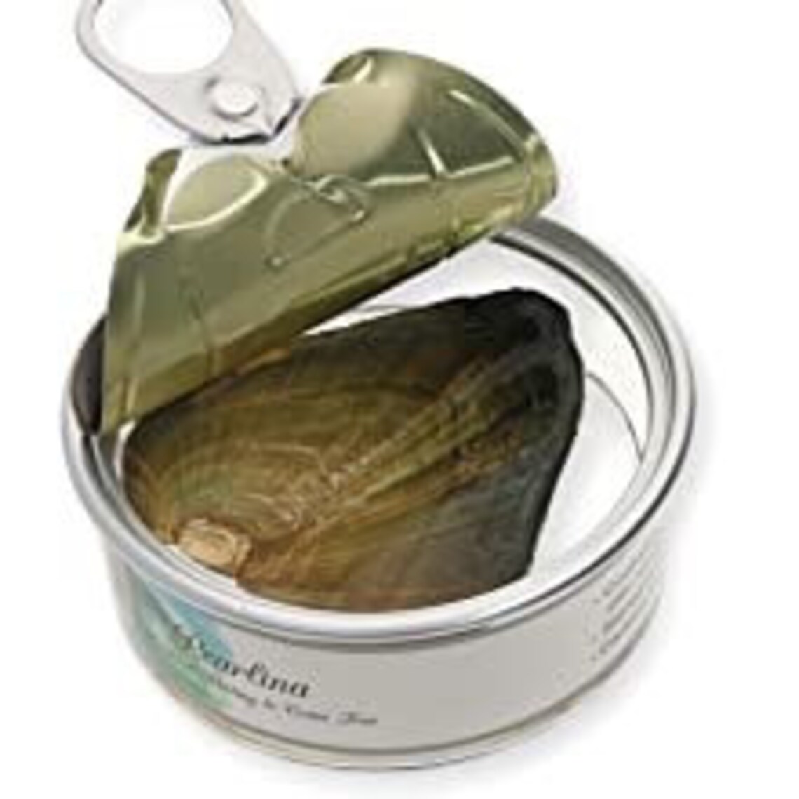 Pearl in Oyster Necklace Real Pearl Necklace - Etsy