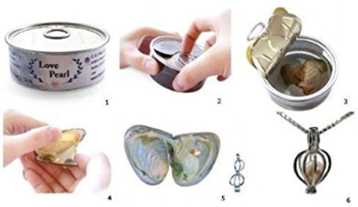 Pearl in Oyster Necklace Real Pearl Necklace - Etsy