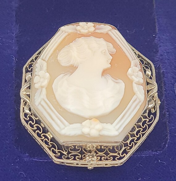Victorian Edwardian Shell Cameo Brooch: Sterling Silv… - Gem