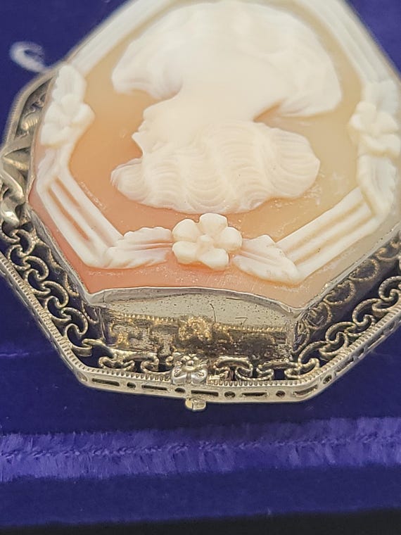 Victorian Edwardian Shell Cameo Brooch: Sterling Silv… - Gem