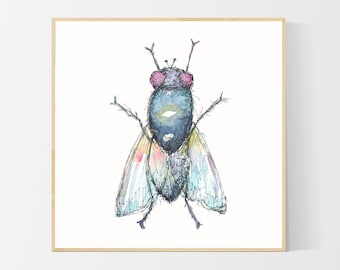 House Fly Art Print - Etsy
