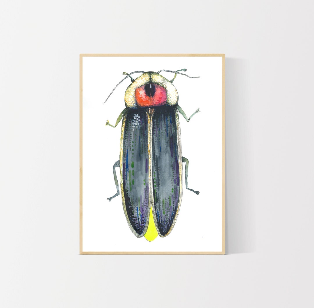 Watercolor Lightning Bug / Firefly Giclee Insect Art Print - Etsy
