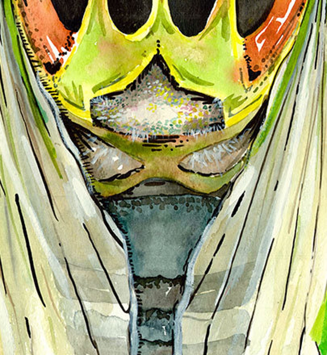 Watercolor Cicada Giclee Insect Art Print Unframed - Etsy